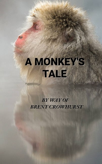 A Monkey's Tale, (Paperback) - Walmart.com