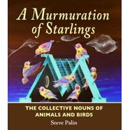 Understanding Bird Behavior: An Illustrated Guide to What Birds Do and ...