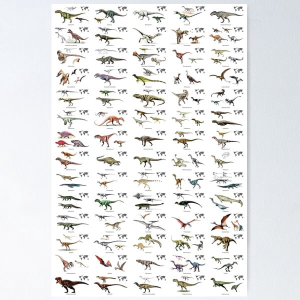 A NEW Carnivore dinosaurs with maps and names Poster - Walmart.com