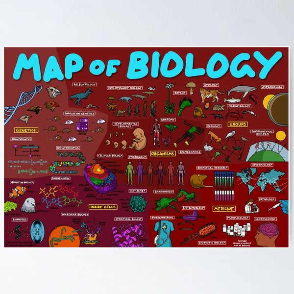 A NEW Map of Biology Poster - Walmart.com