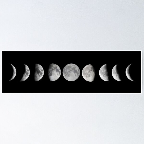 A NEW Moon phases Poster - Walmart.com