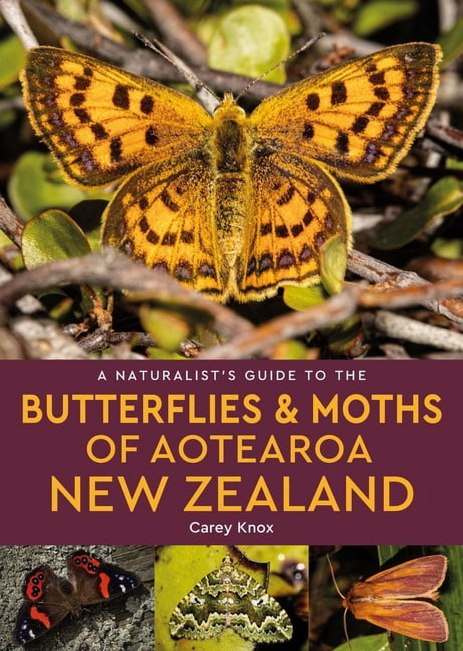 Naturalists' Guides A Naturalist's Guide to the Butterflies & Moths of ...