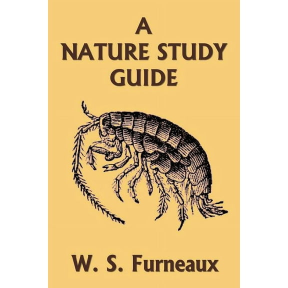 Les grandes questions existentielles (la vérité, Dieu, le sens de la ...