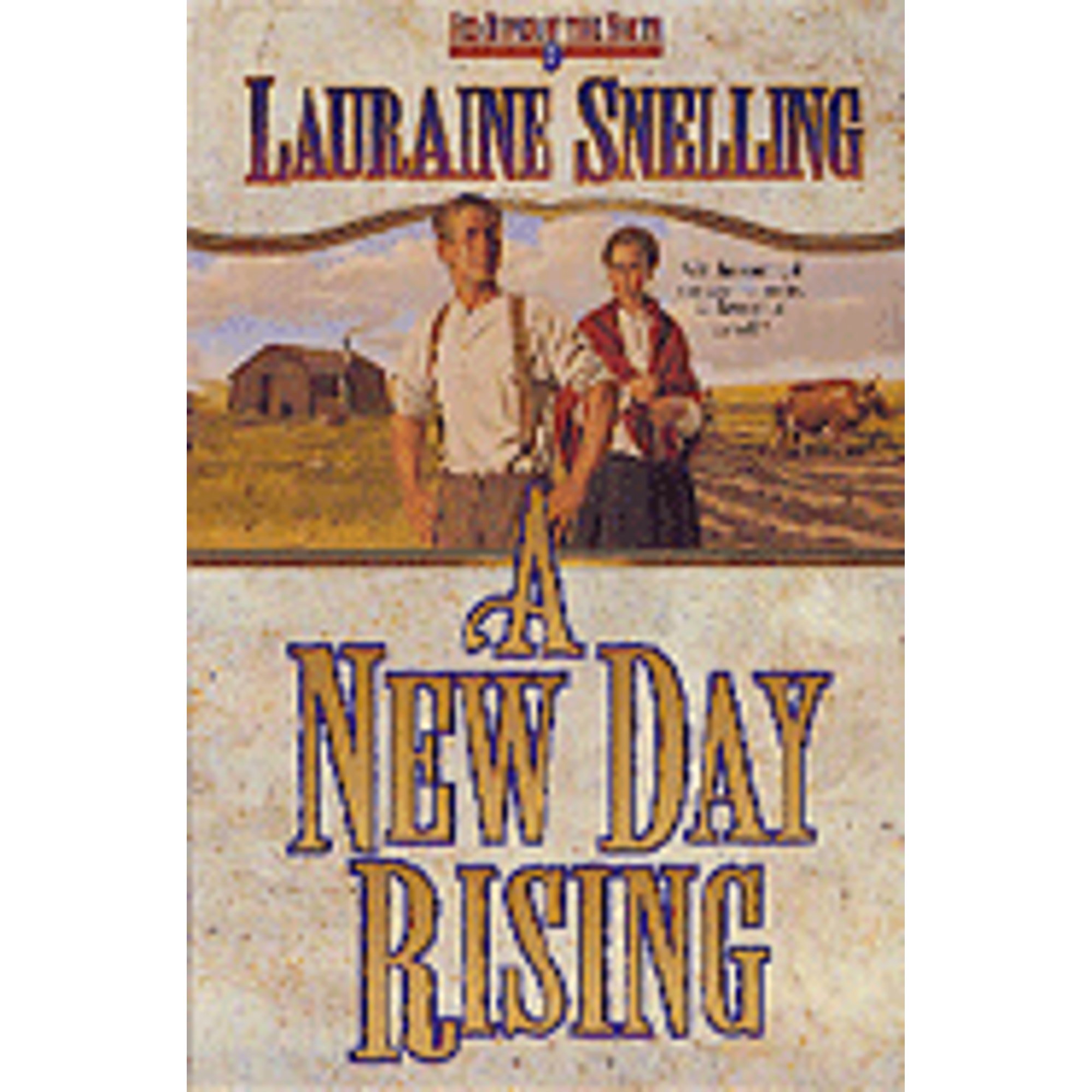 Pre-Owned A New Day Rising (Paperback) 0764201921 9781556615771 ...