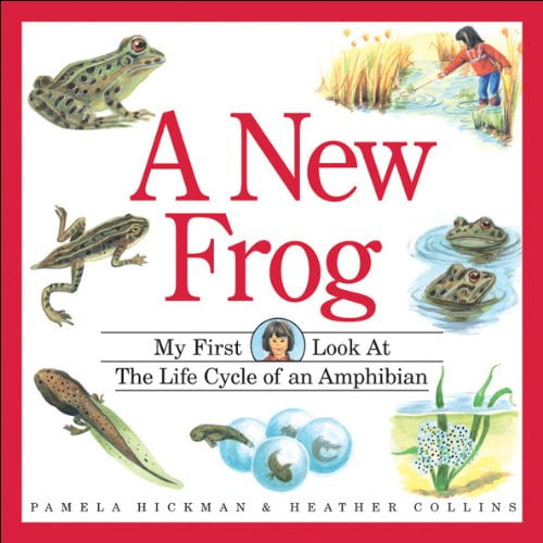 Pre-Owned A New Frog: My First Look at the Life Cycle of A N Amphibian ...