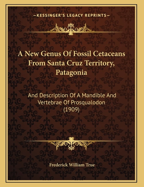 A New Genus Of Fossil Cetaceans From Santa Cruz Territory, Patagonia ...
