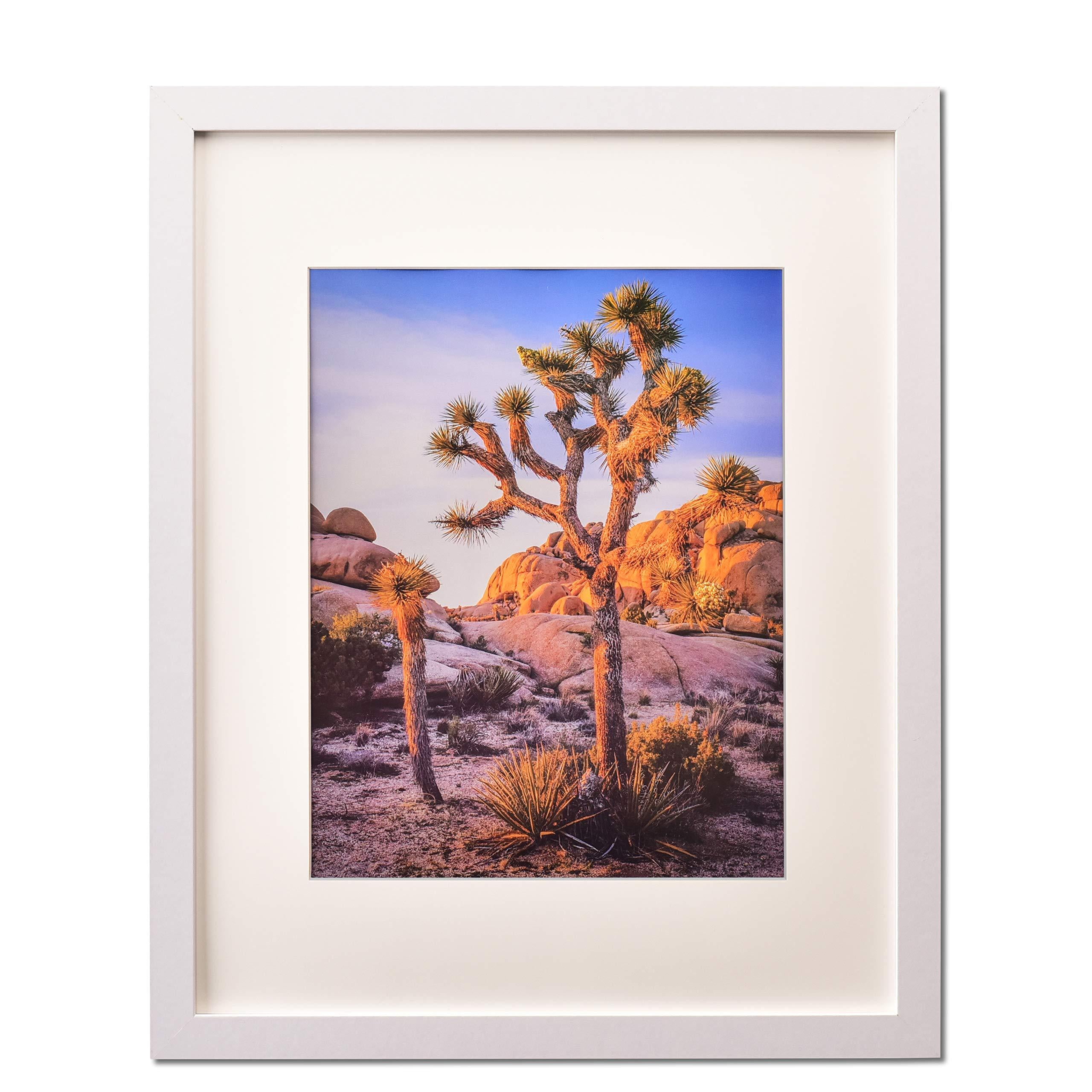 A PLUS INC 20x24 Picture Frame, White Poster Frame, Home Decor Natural ...