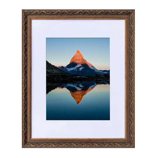 A PLUS MAX 16 x 20 Inch Antique Gold Picture Frame Matted to Display a ...
