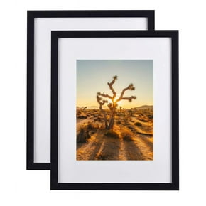 Picture Frames 12 X 16