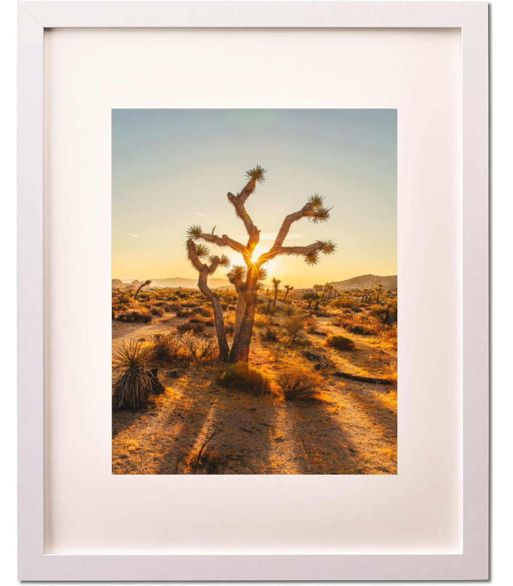 A PLUS MAX 20x24 Picture Frame, White Poster Frame, Home Decor Natural ...