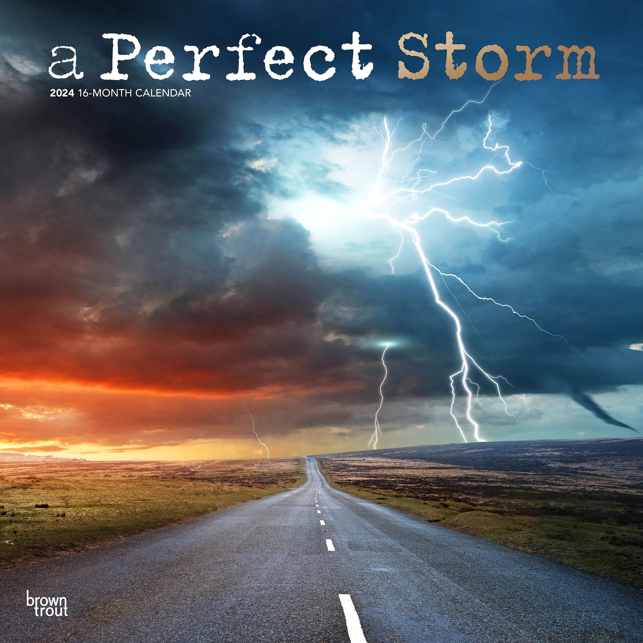 A Perfect Storm | 2024 12x24" (Hanging) Square Wall Calendar ...