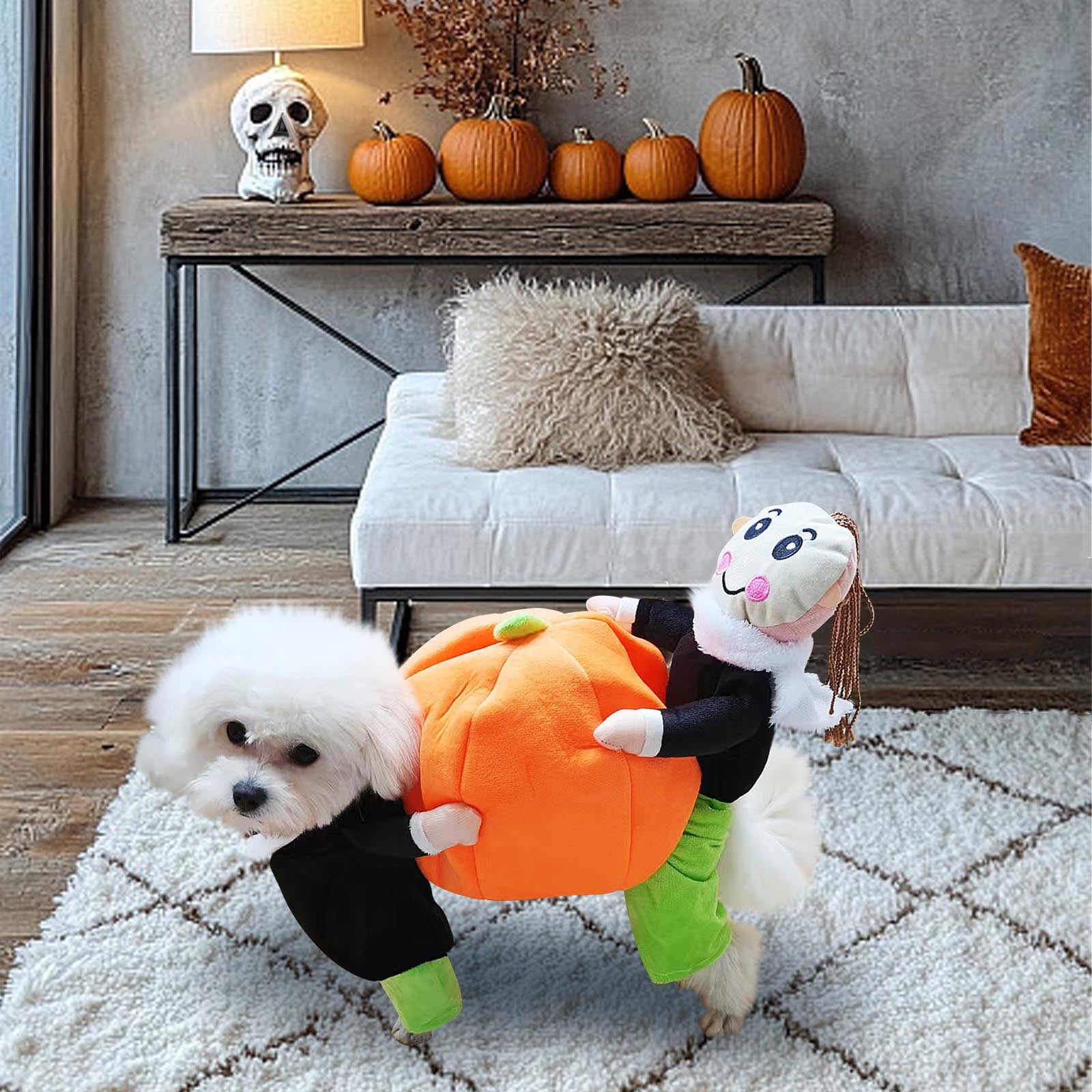 A Pet Dog Pumpkin Halloween Costume - Walmart.com