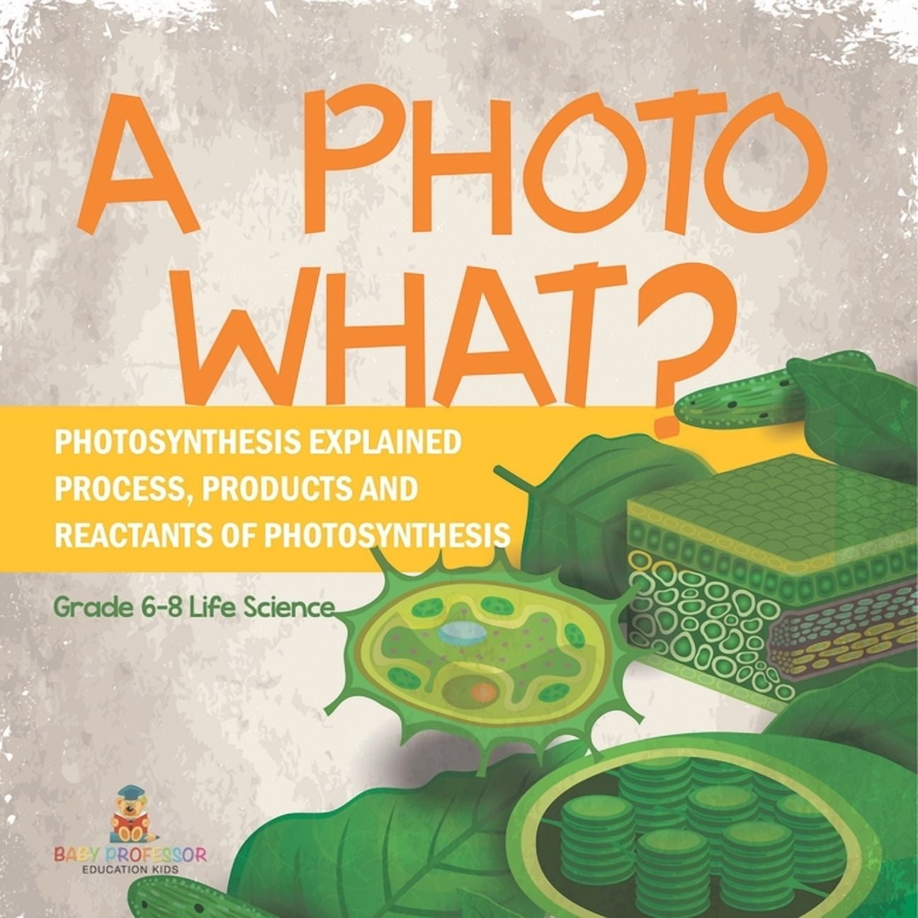 A Photo What? Photosynthesis Explained Process, Products and Reactants ...