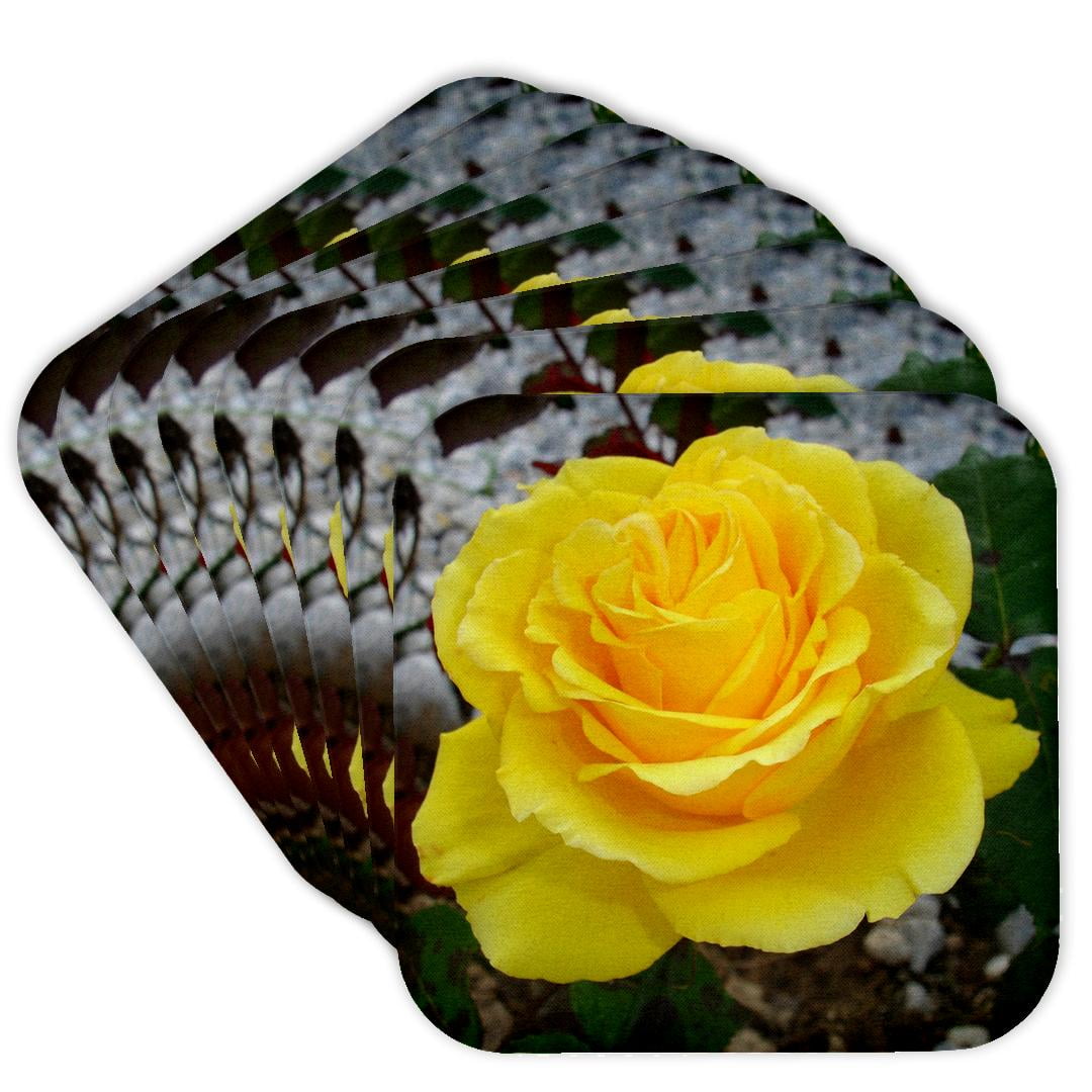 3drose, a Photograph of a Perfect Yellow Rose with Bright and Showy ...