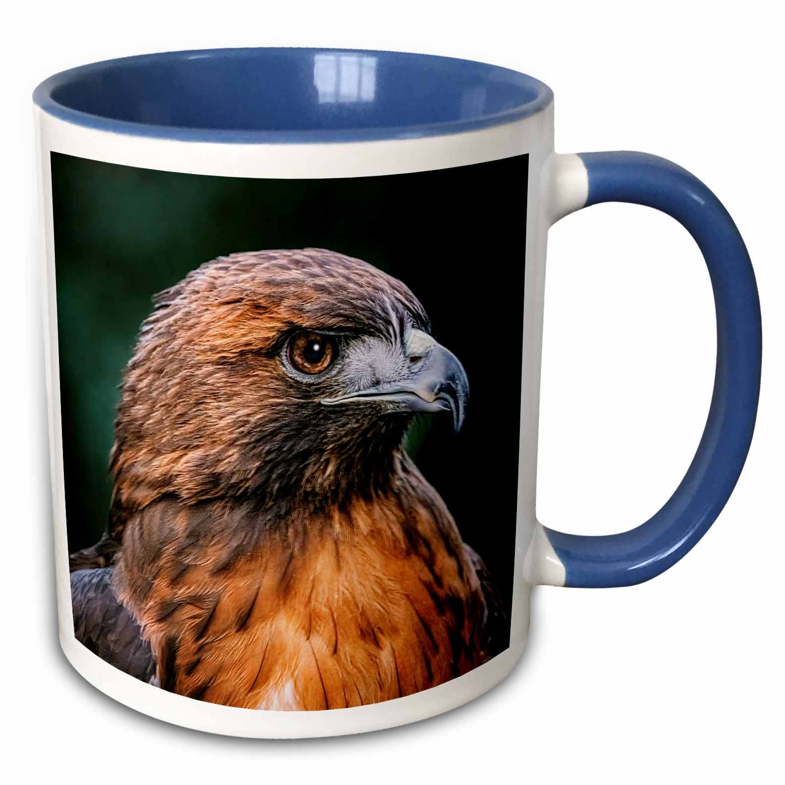 3drose, a Photograph of a Red Tailed Hawk Looking Left, 11oz Two-tone ...