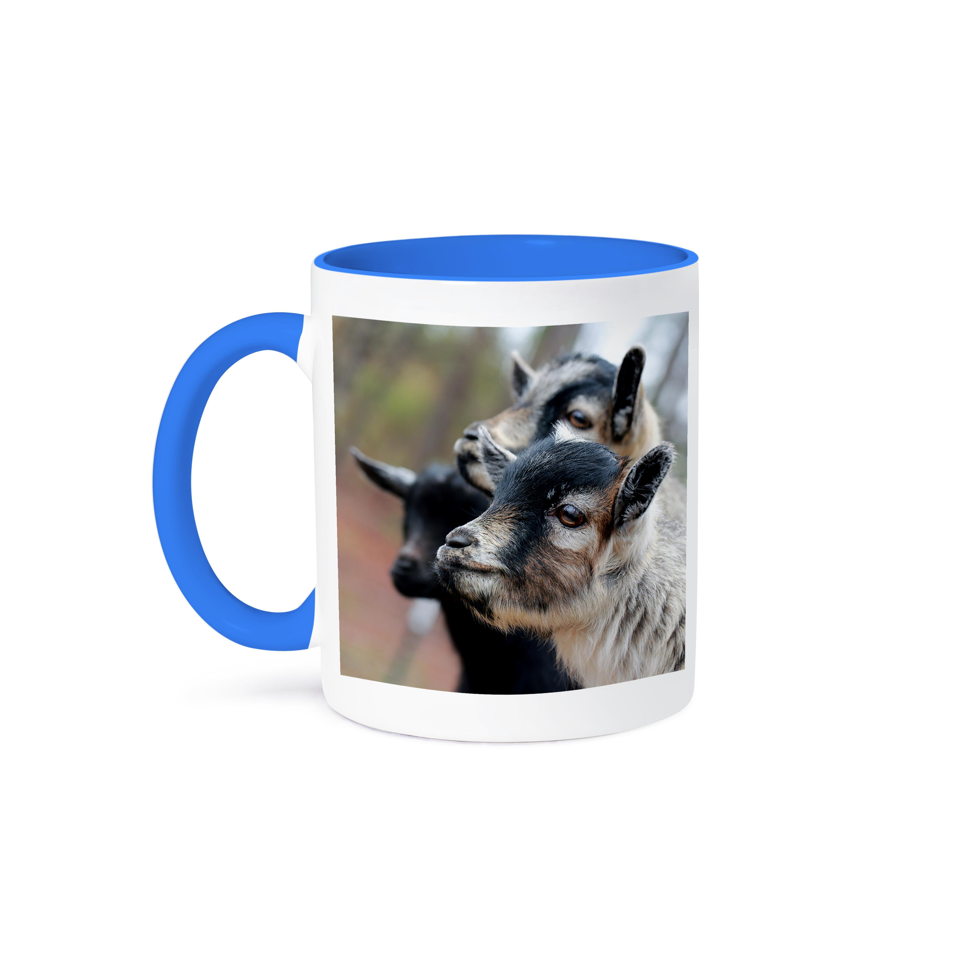 A Photograph Of The Profiles Of Three Fuzzy Baby Goats., 11oz Two-Tone ...