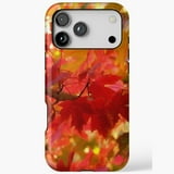 A Pick A Color Themed Simple Minimalist Graphic iPhone 11 through 17 ...