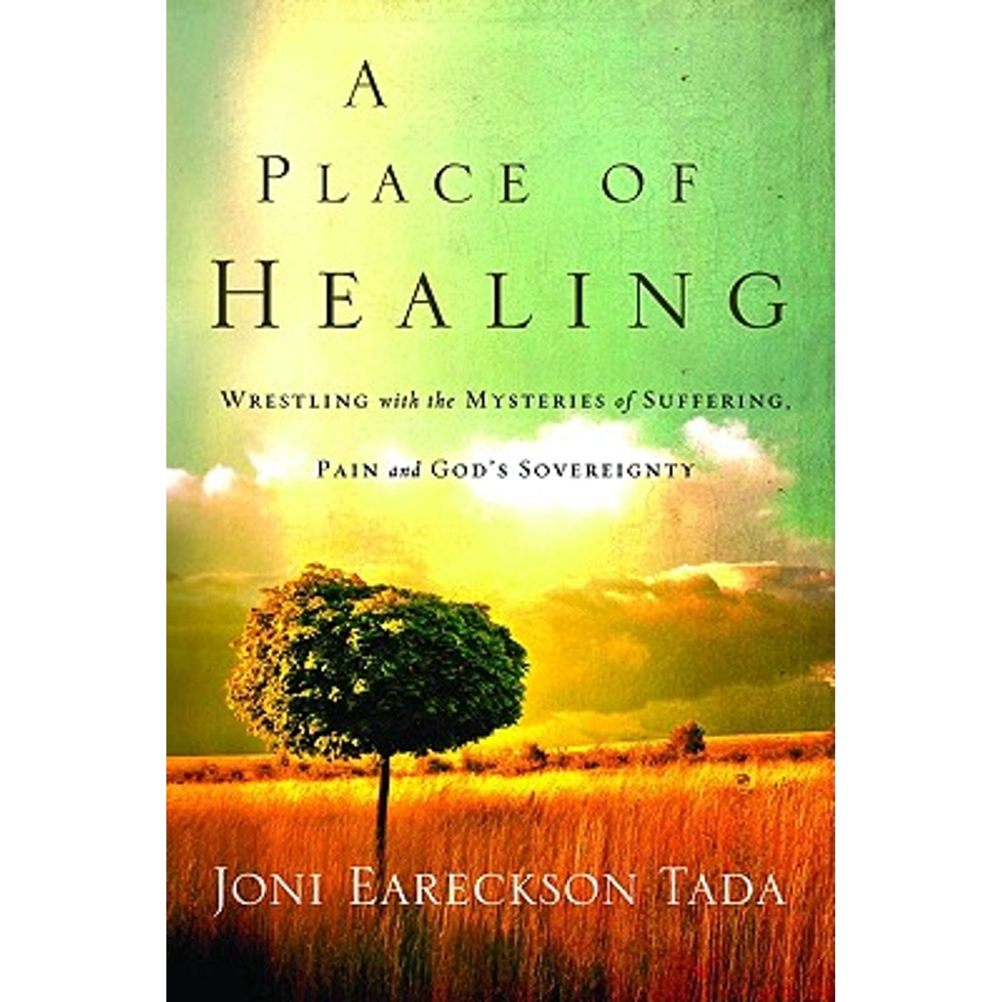 Pre-Owned A Place of Healing: Wrestling with the Mysteries of Suffering ...