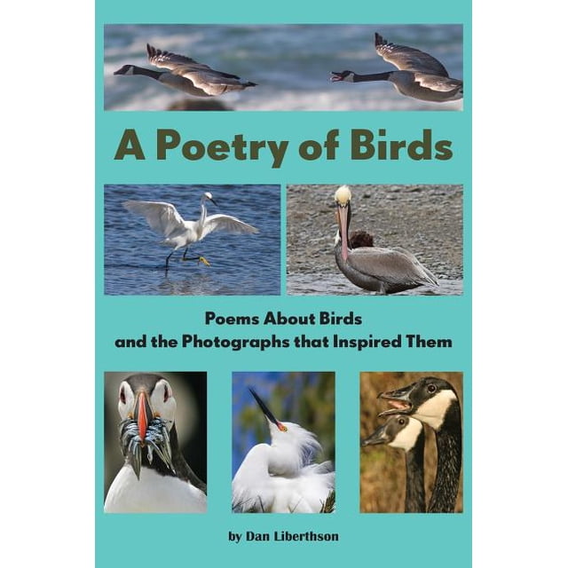A Poetry of Birds (Hardcover) - Walmart.com