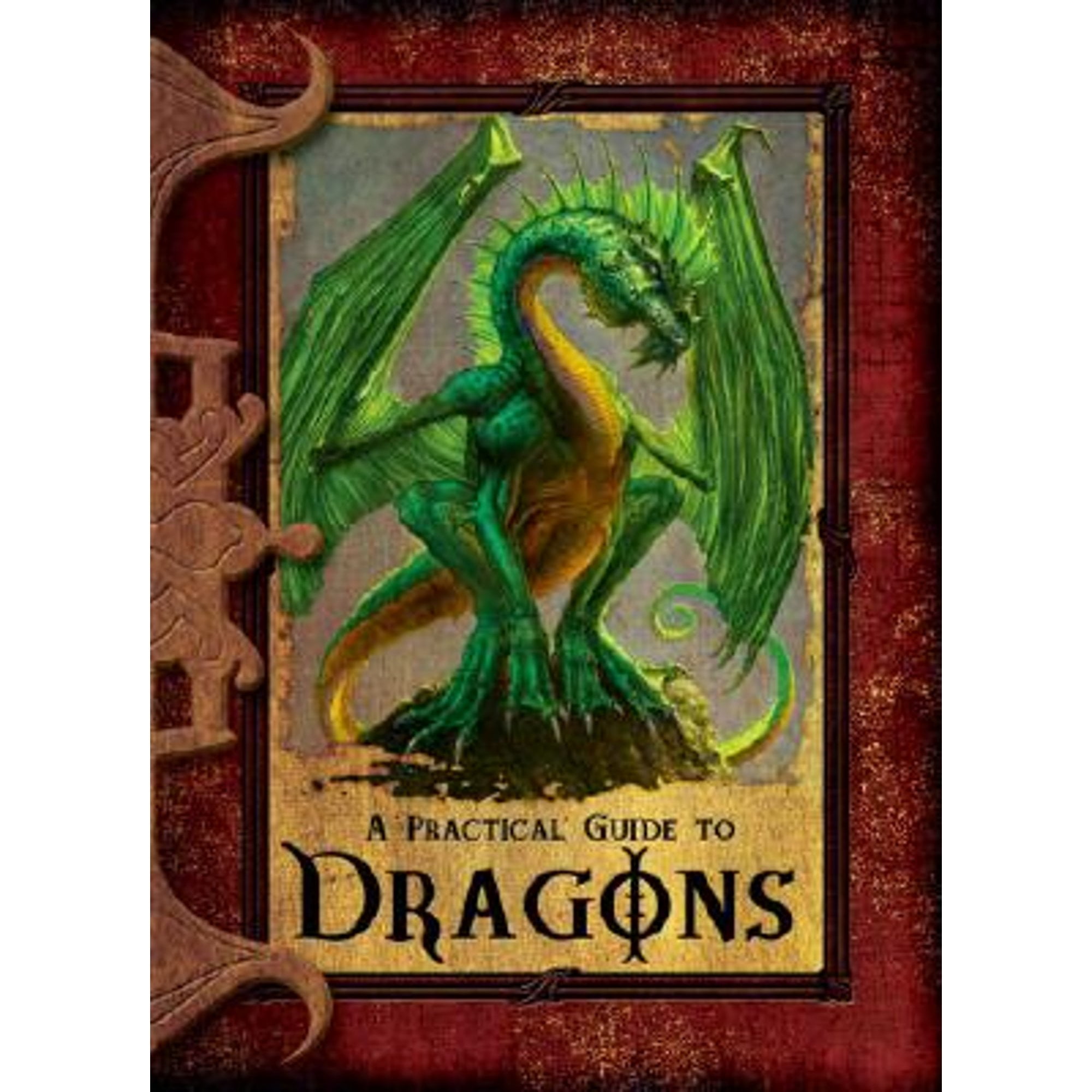Practical Guide Dragons