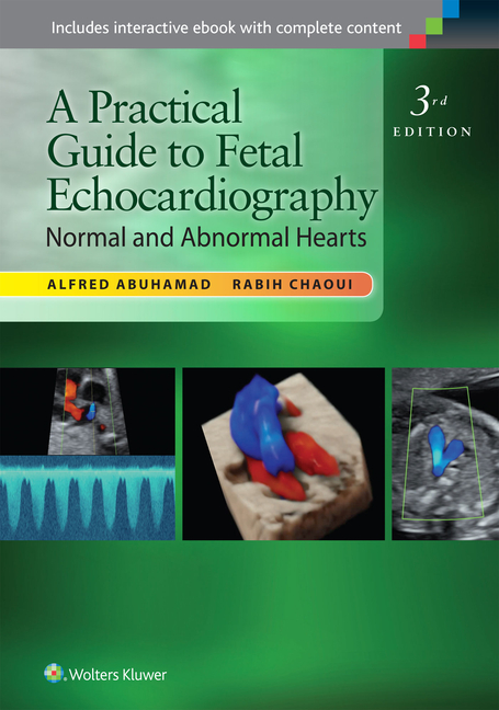 A Practical Guide to Fetal Echocardiography : Normal and Abnormal Hearts (Edition 3) (Hardcover ...