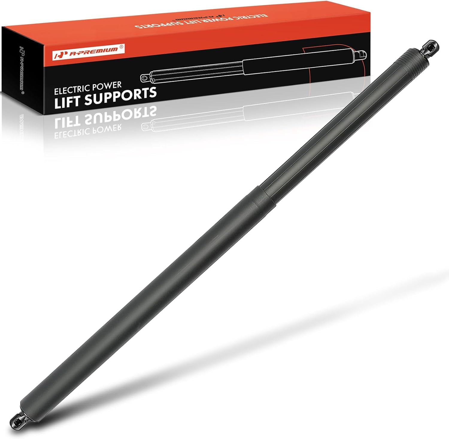 Ford Escape Liftgate Lift Support