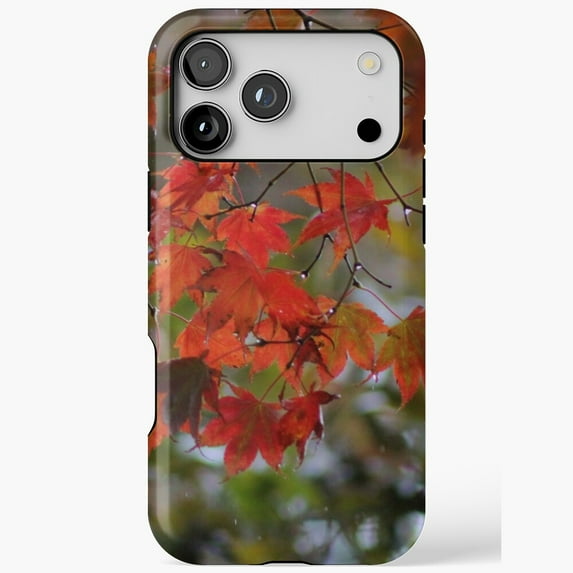 A Rainy Autumn Maple Themed Seasonal Graphic iPhone 11 through 17 Pro ...