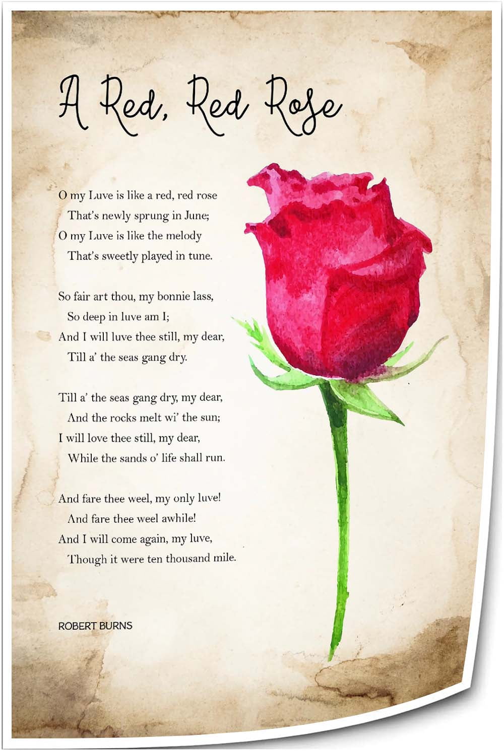 A Red Red Rose Poem Wall Decor Robert Burns Quotes Wall Art Poetry ...
