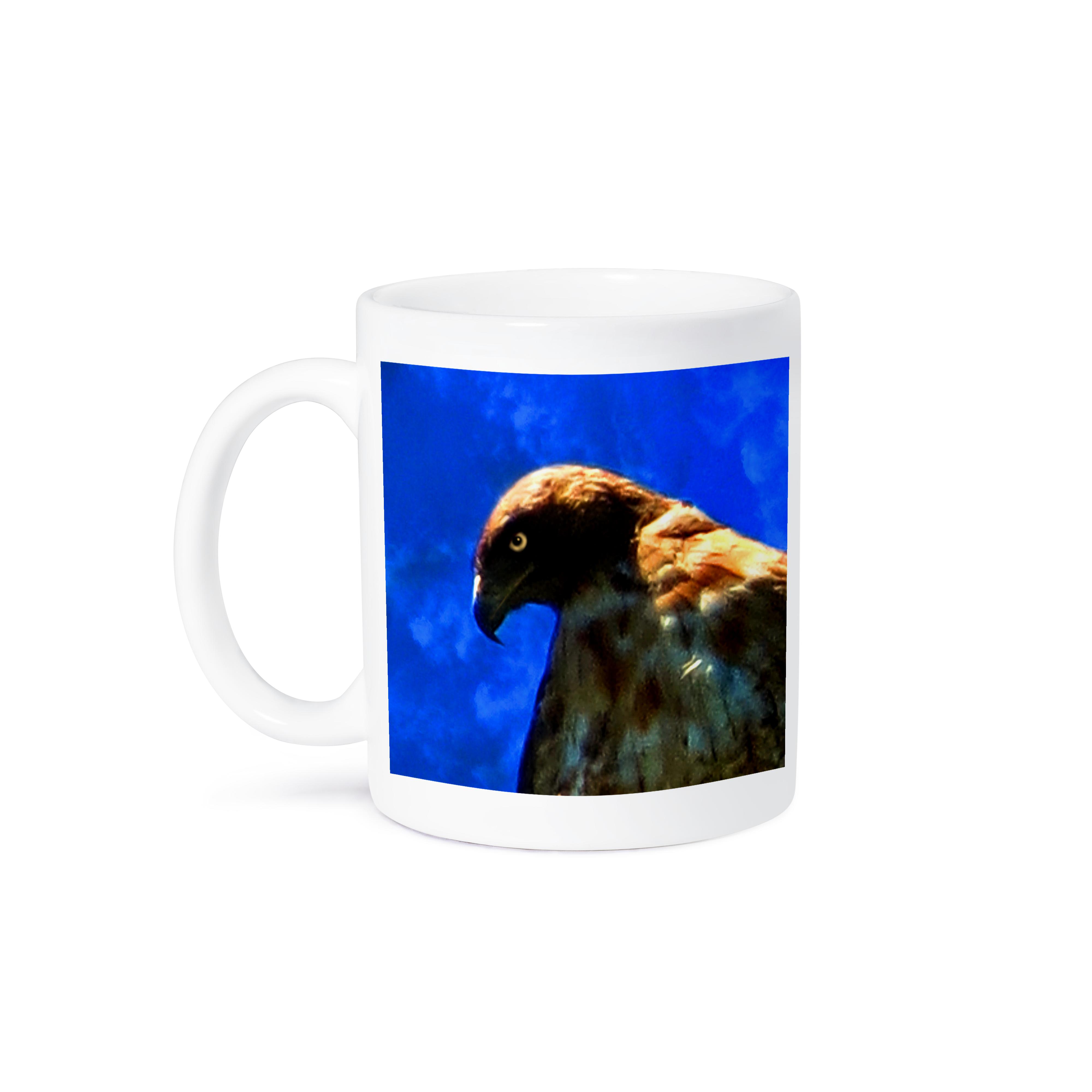 A Red Tailed Hawk Intensely Watching For Prey, Always On The Hunt, 15oz ...