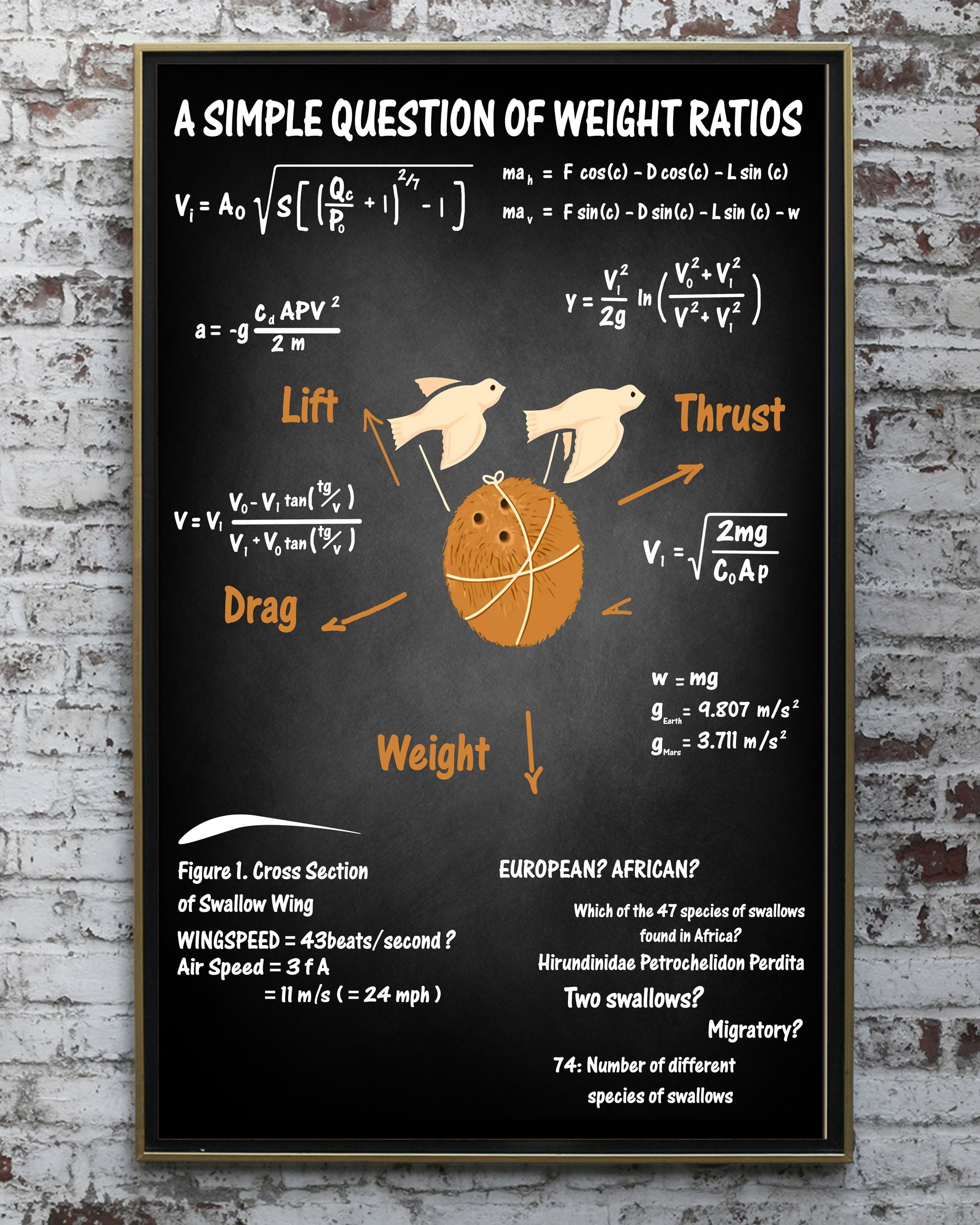 A Simple Question Of Weight Ratios Vertical Poster Matte Wall Art Decor ...