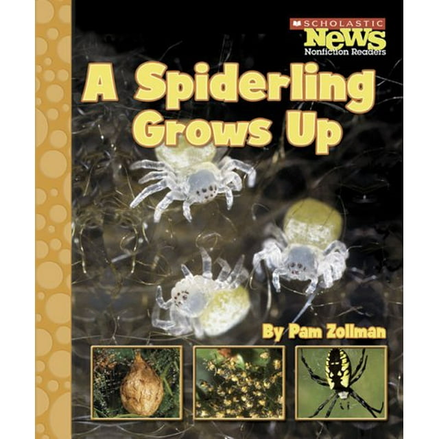 Pre-Owned A Spiderling Grows Up Scholastic News Nonfiction Readers ...