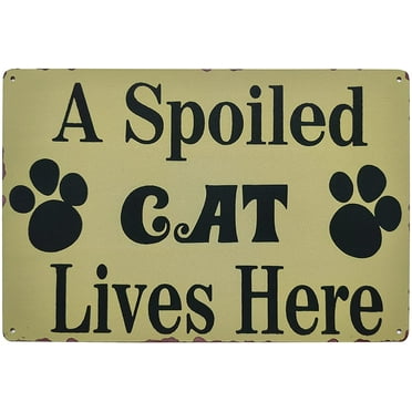 Funny Beware Of Dog The Cat is Shady Too Novelty Tin Sign Animal/Pet ...