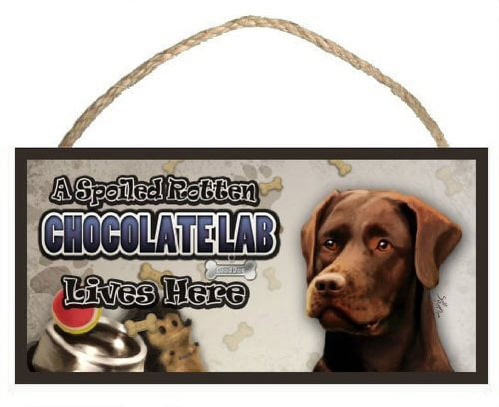 A Spoiled Rotten Chocolate Lab (Labrador Retriever) Lives Here! Dog ...