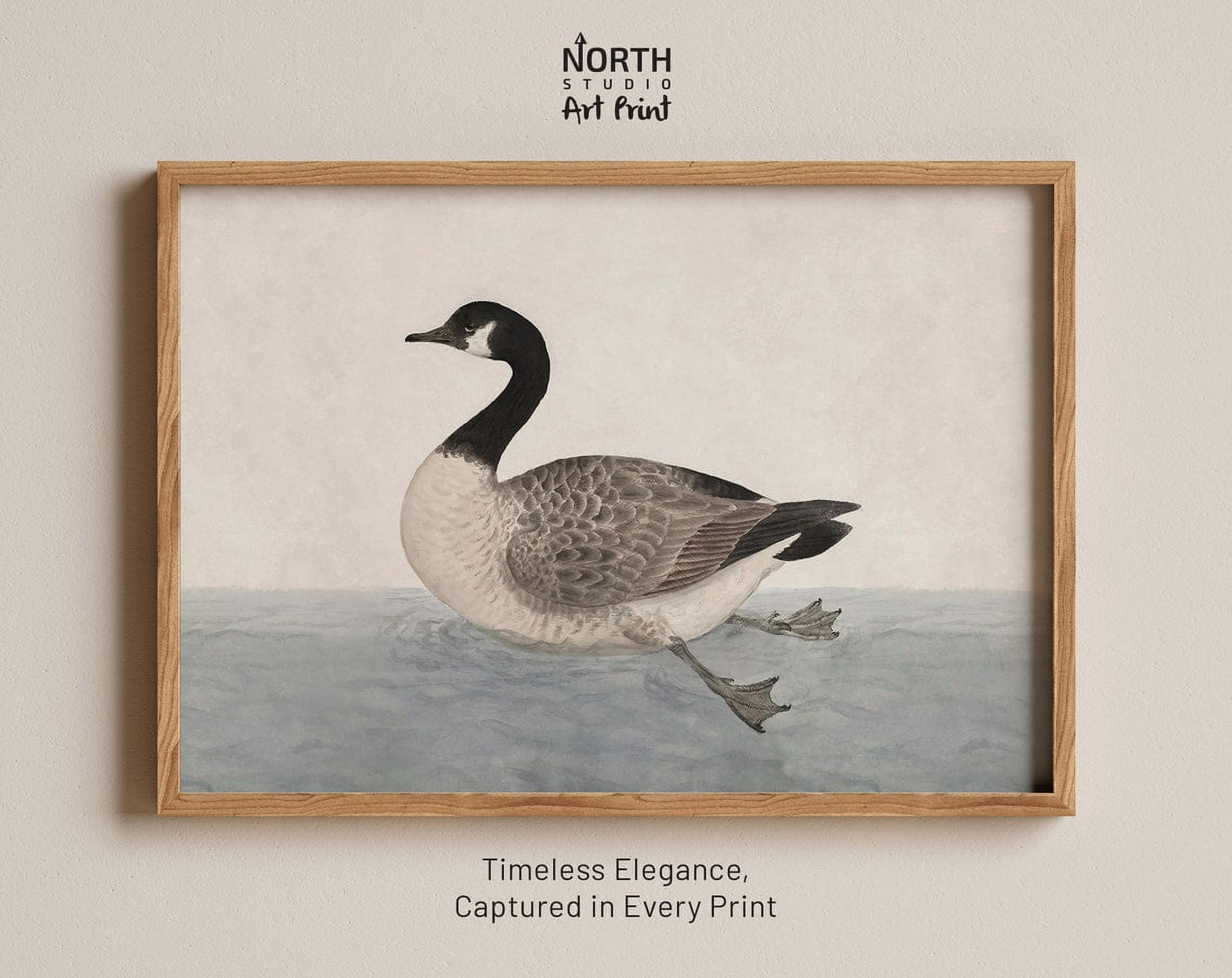 A Swimming Goose Goose Garden Nursery Wall Art Antique Landscape ...