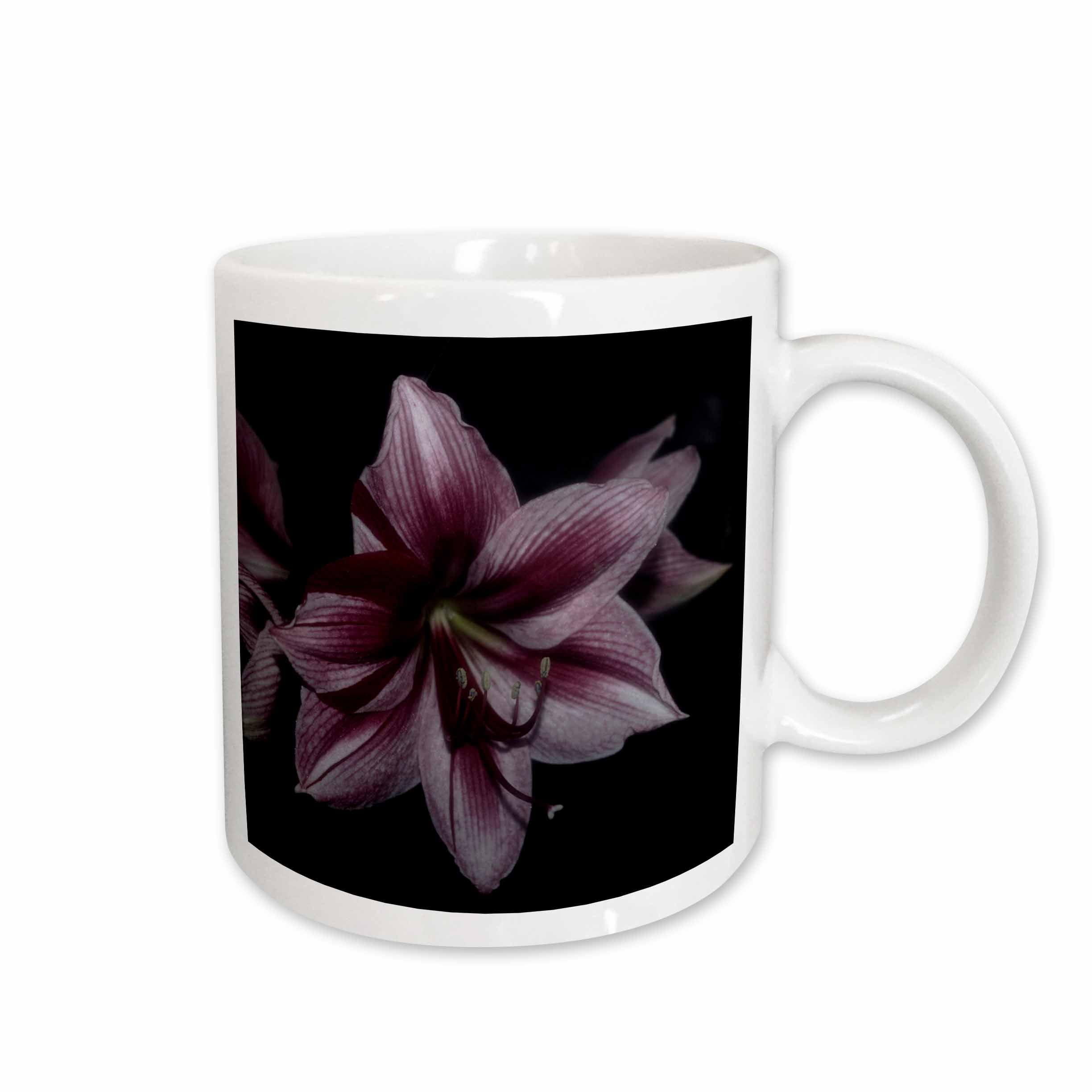 3drose, a Tiger Lily with Added Effects, 15oz Mug - Walmart.com