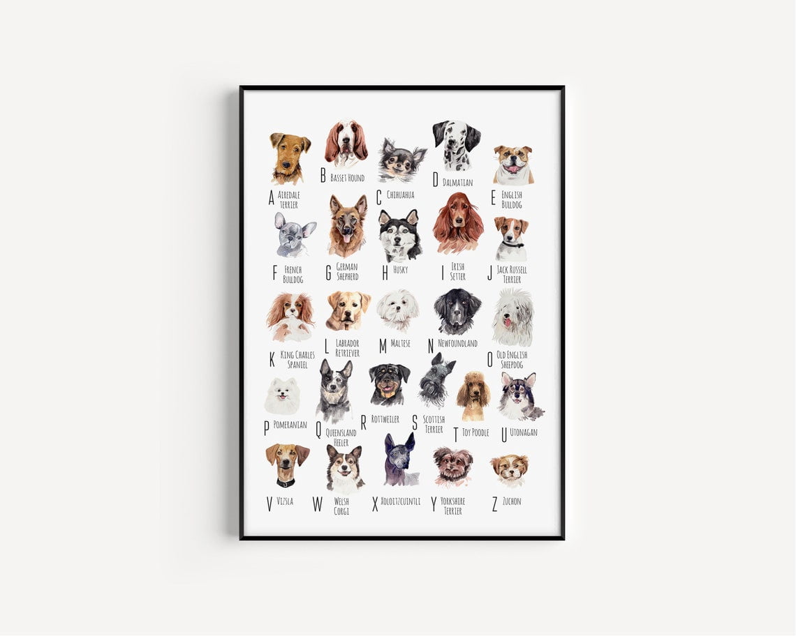A To Z Of Dogs Print, Dog Breed Alphabet Poster, Unframed Paper Poster ...