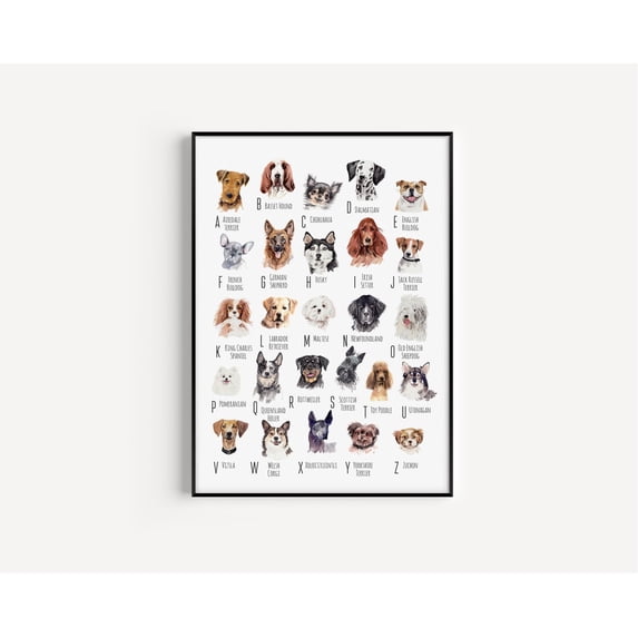 A To Z Of Dogs Print, Dog Breed Alphabet Poster, Unframed Paper Poster ...