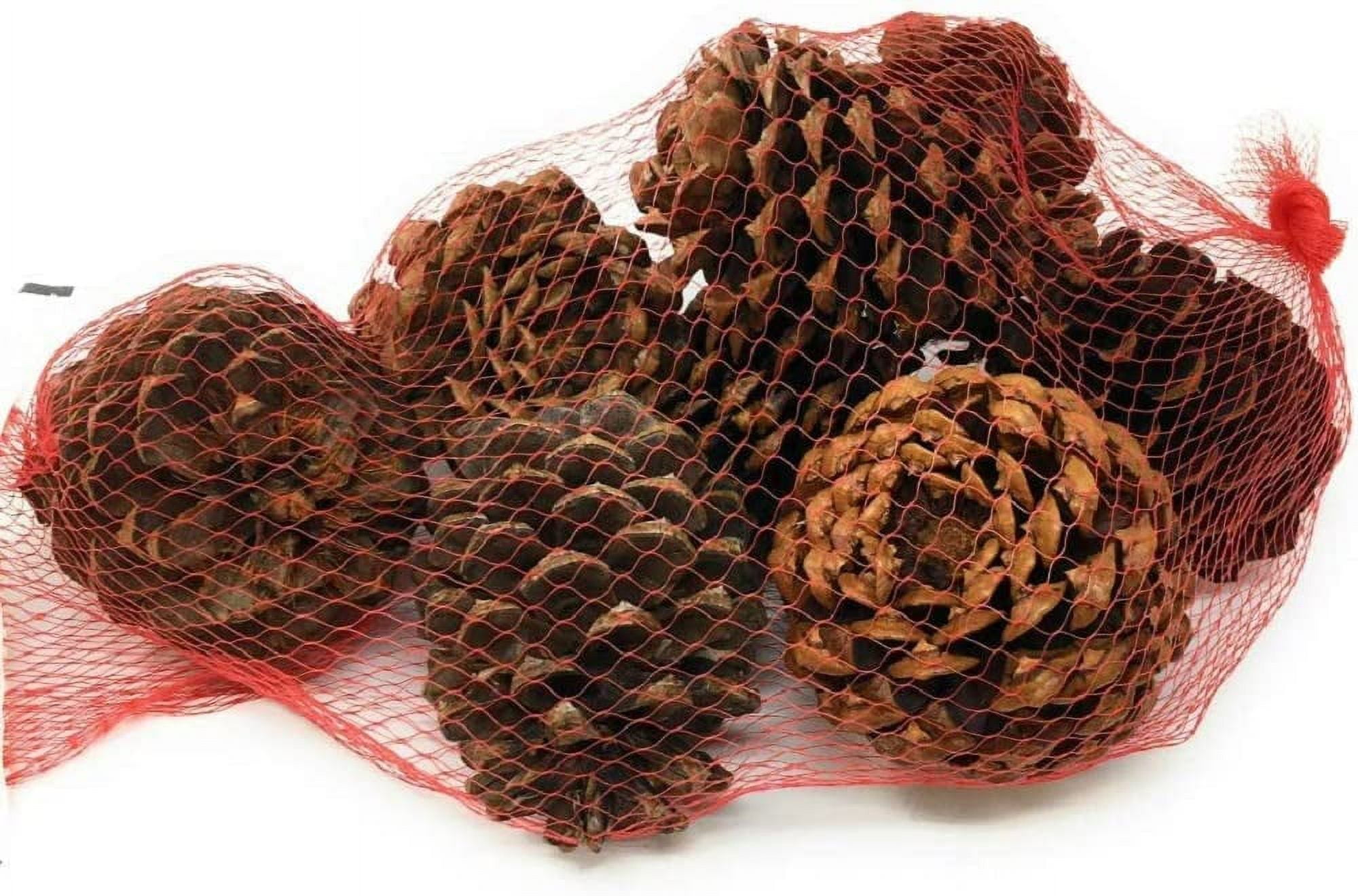 A Touch of Country Magic Bag of Cinnamon Scented Pinecones Holiday Home ...
