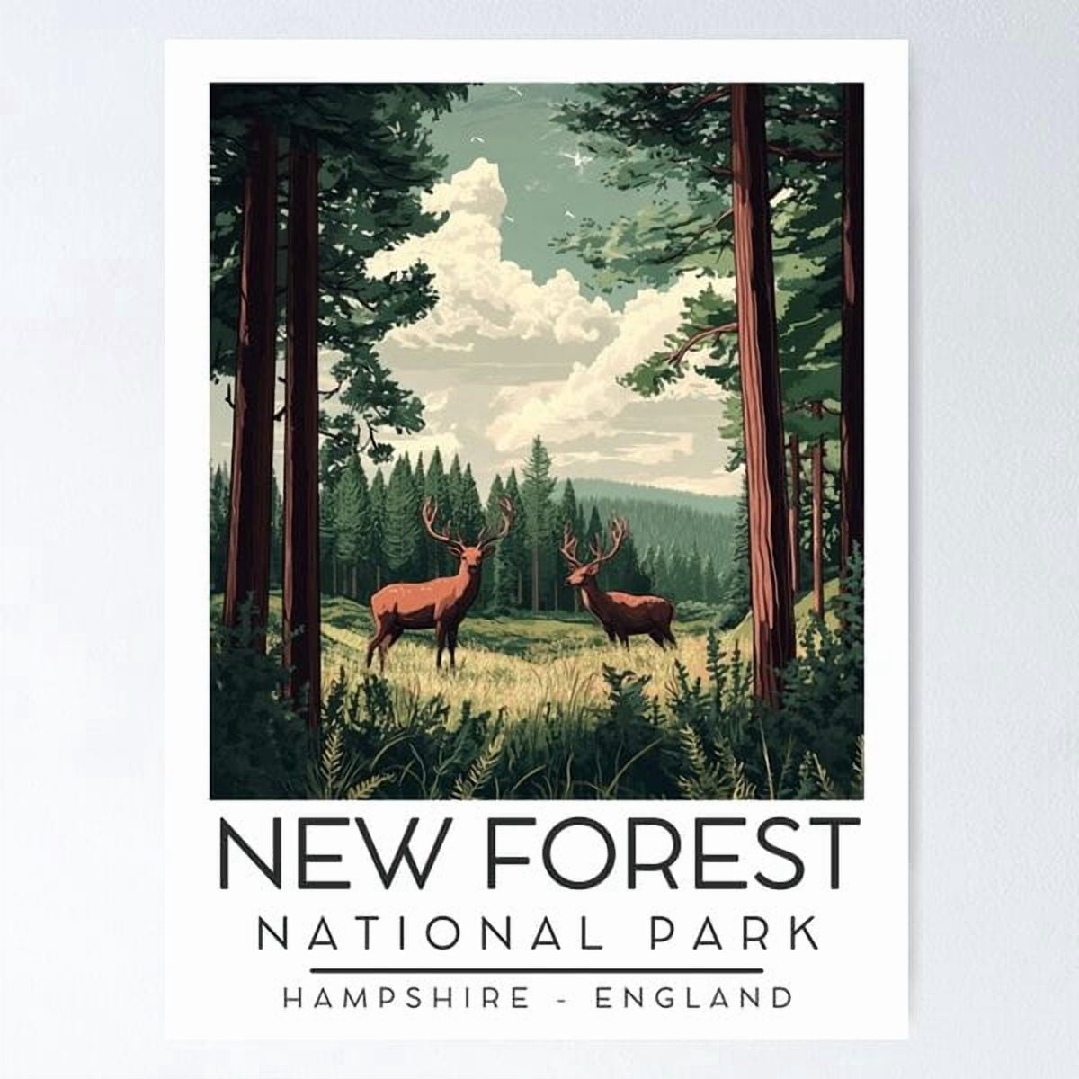 A Vintage Illustration Of New Forest National Park England Poster ...