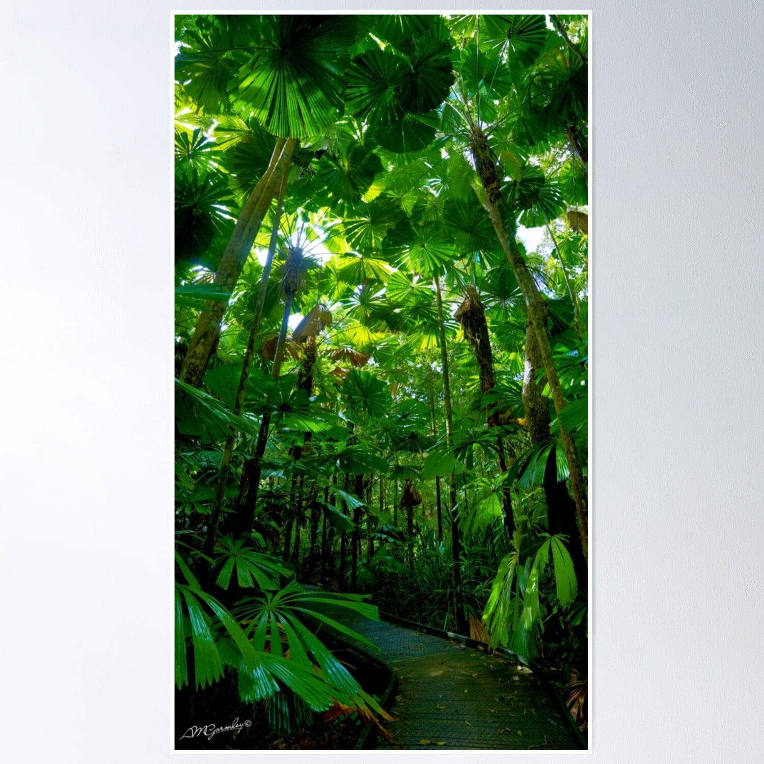 A Walk Through Time Poster Wall Art, Modern Wall Decor, 12x18 UNFRAMED ...