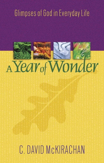 A Year of Wonder (Paperback) - Walmart.com