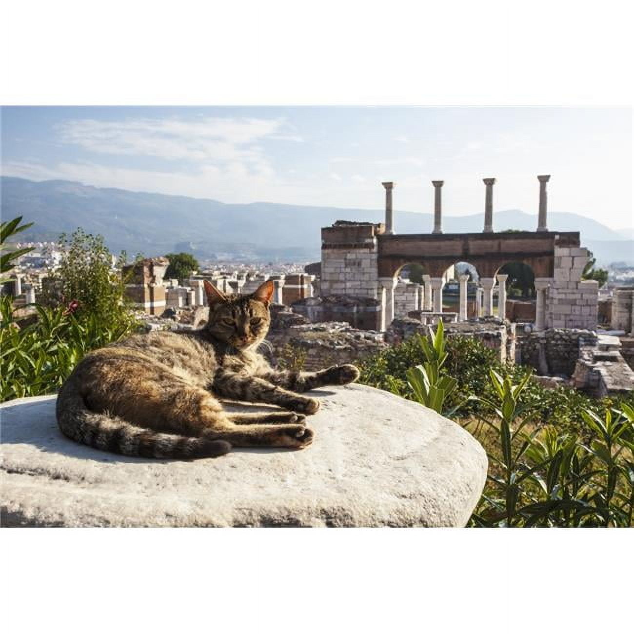 A cat lays in the sun on a rock at the ruins of Saint Johns Basilica ...
