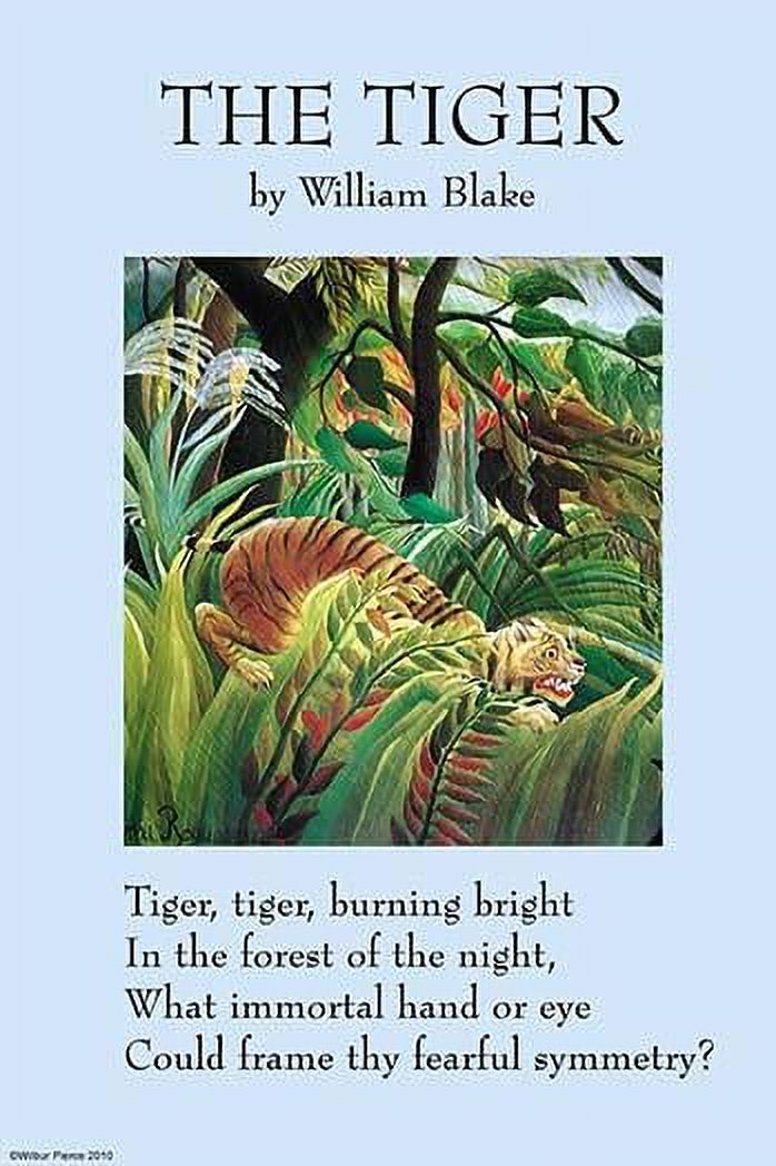 A fearsome feral tiger sometimes spelled tyger. Illustrated by the ...