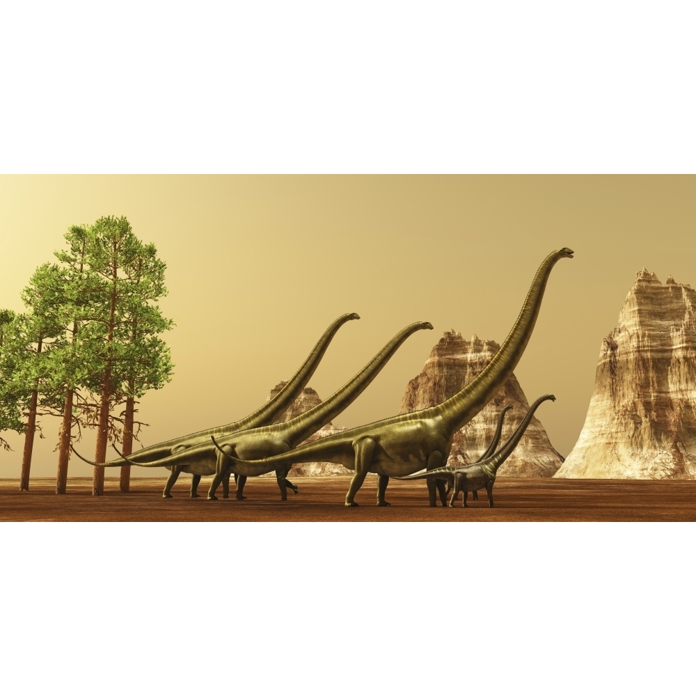 A herd of Mamenchisaurus dinosaurs migrate to better feeding ground ...