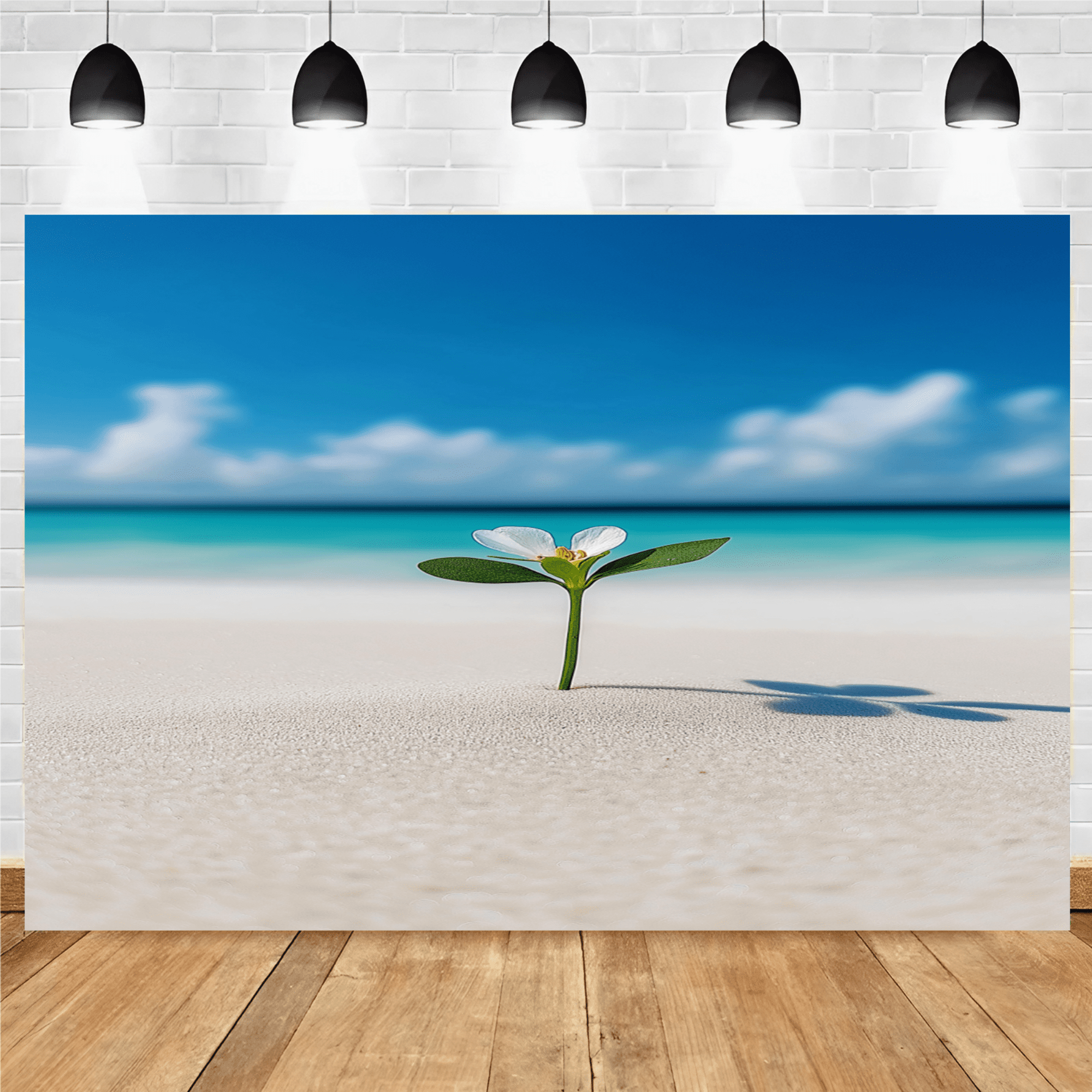 A lone flower on a sandy beach Natural Scenic Backdrops Summer ...