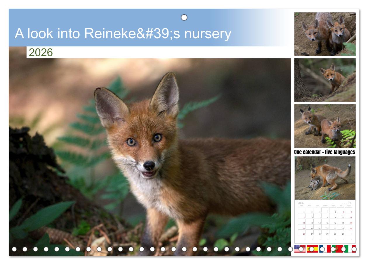 A look into Reineke's nursery (Monthly Wall Calendar 2026 16.5 x 23.4 ...