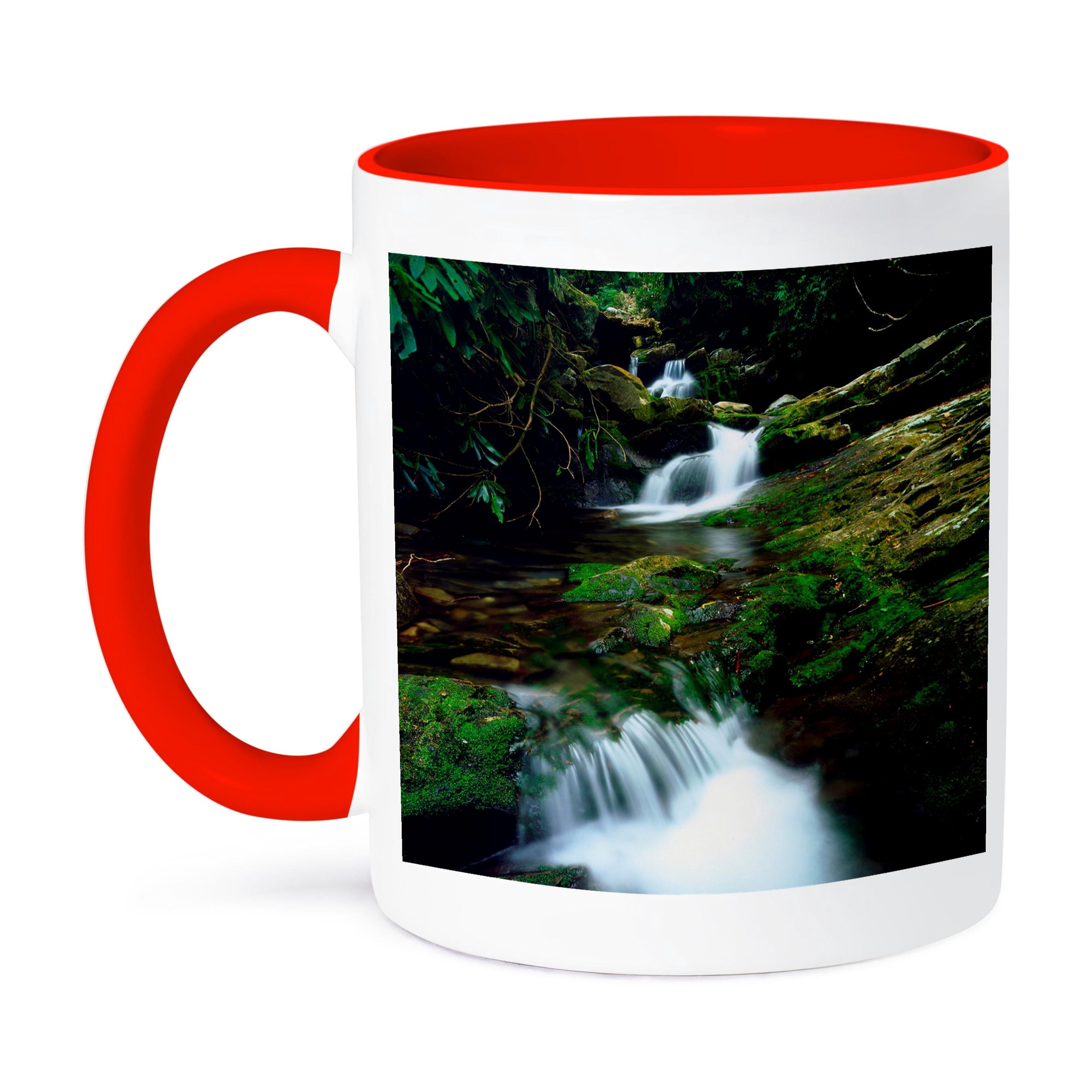 3dRose, A moss covered stream in The Great Smoky Mountains, Tennessee ...