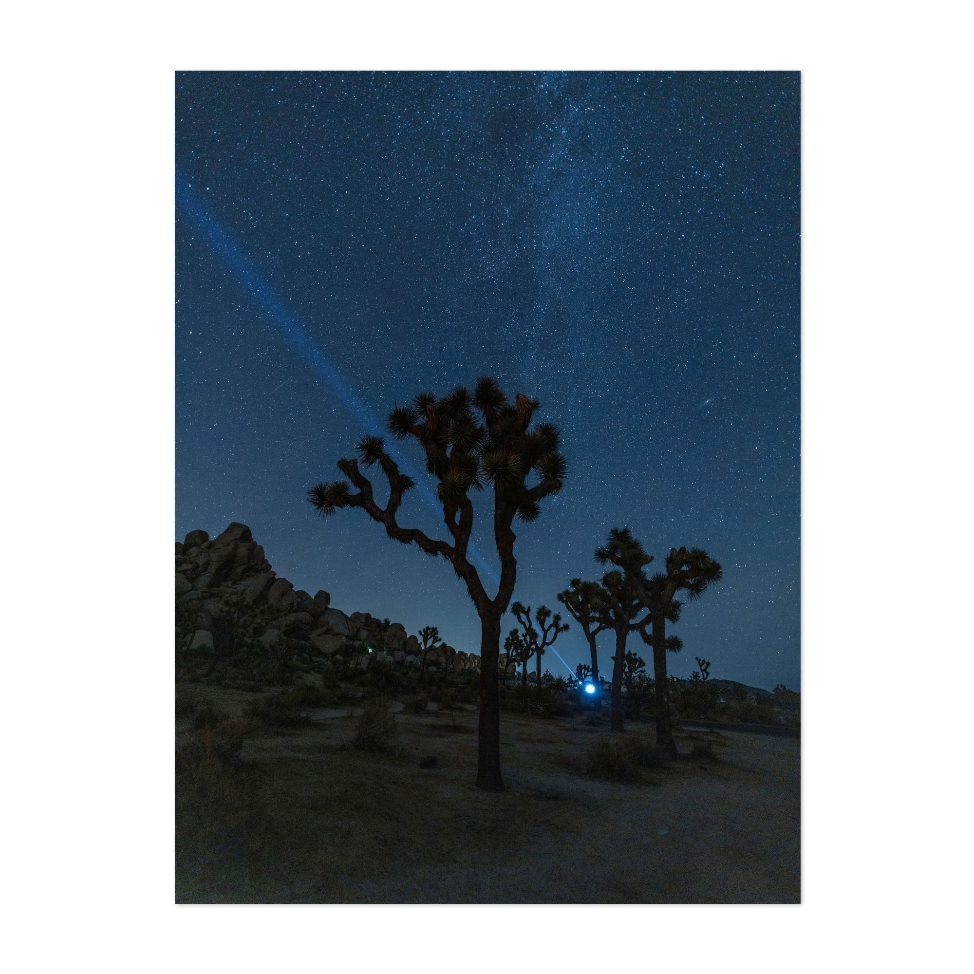 A peaceful night under a vast starry sky - Joshua Tree California ...