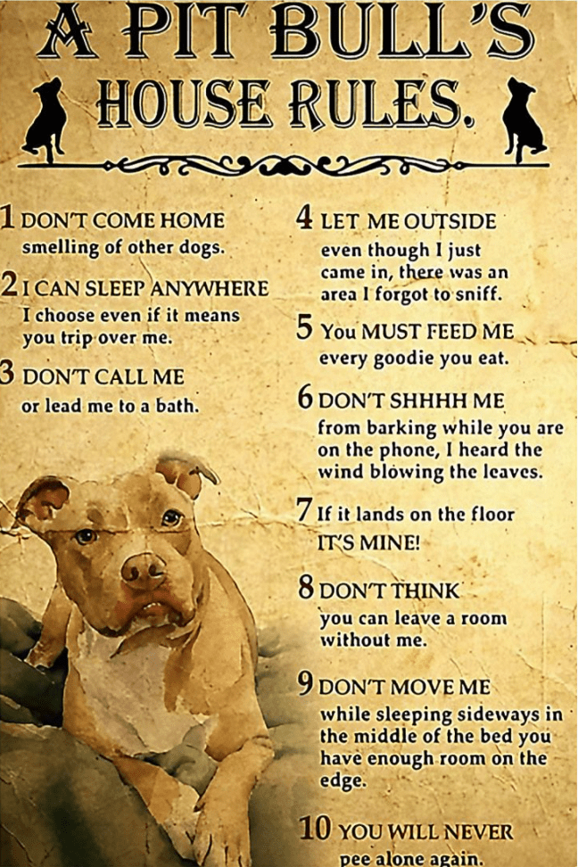 A pit bull's house rules poster 16 x 24 Inch Poster - Walmart.com