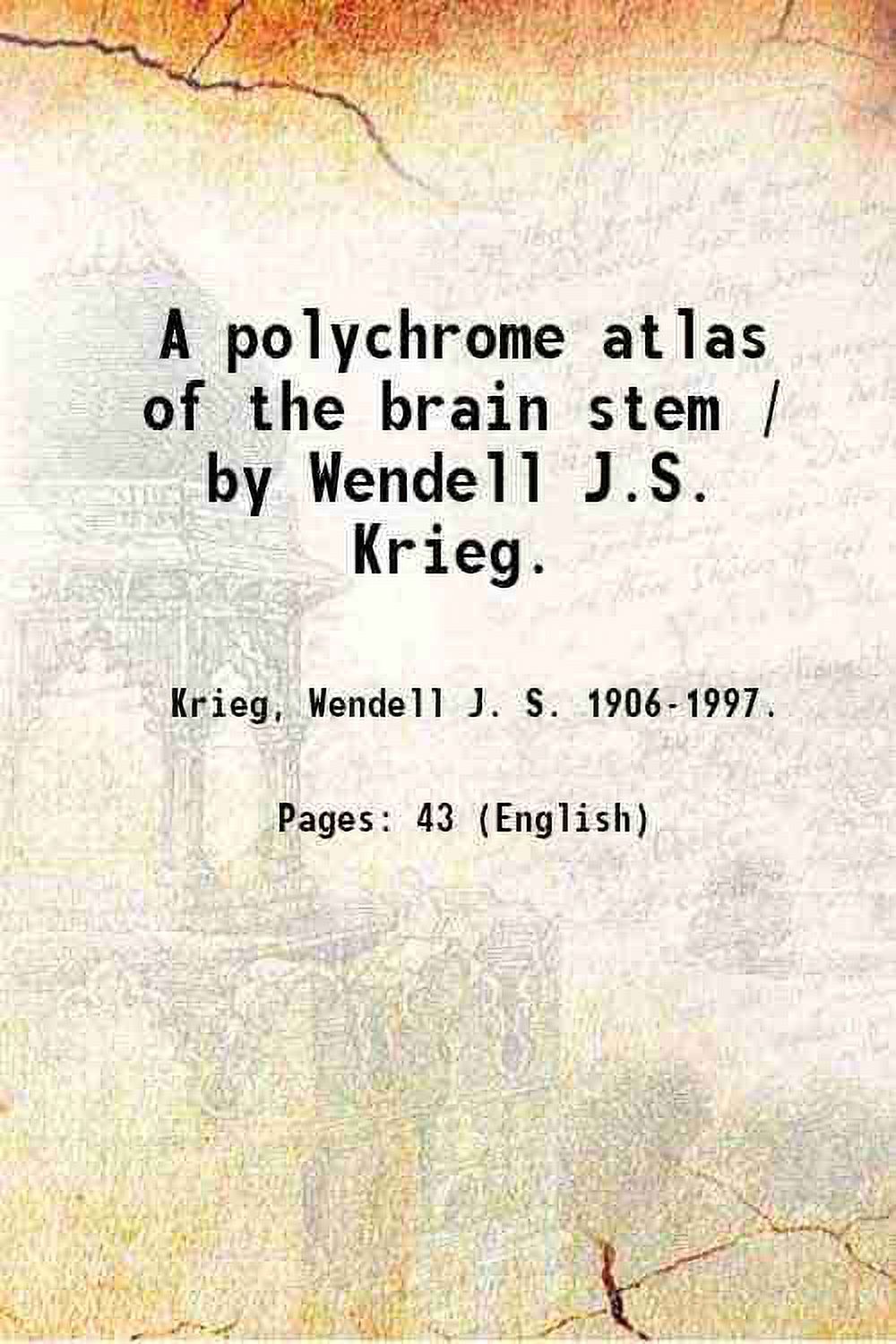 A polychrome atlas of the brain stem / by Wendell J.S. Krieg ...